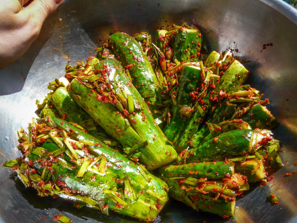 Cucumber Kimchi – Oi Sobaegi – 오이소박이 – The Kitchen Tourist